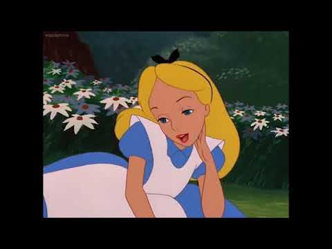 White Rabbit (Alice in Wonderland)