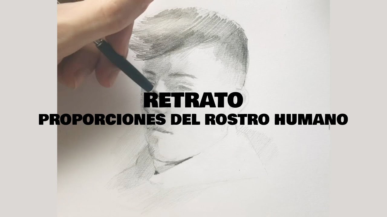Retrato, proporciones del cuerpo humano