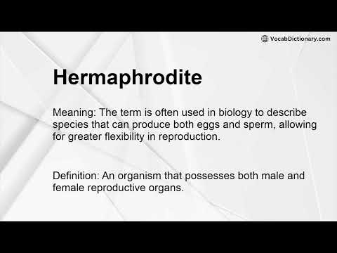 Hermaphrodite Meaning
