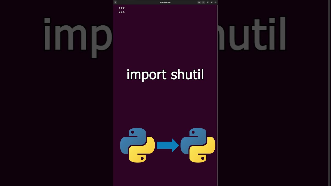 Copying Files with Python! #python #coding