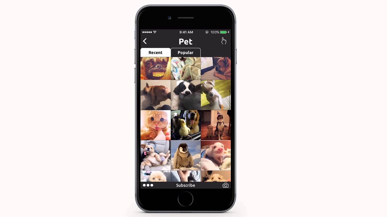 Eight pics inc. | F6S