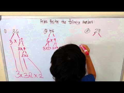 Prime Factorization Review (9-24-2014)