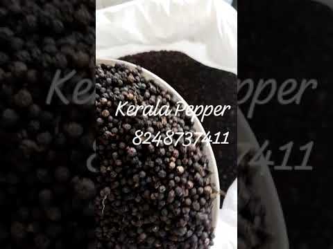 Pepper - Small Black Pepper( kerala idukki) kuru milagu Manufacturer ...