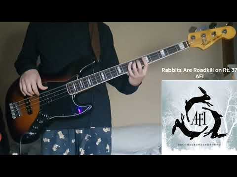 Steam Community Video Afi Bass Cover Rabbits Are Roadkill On Rt