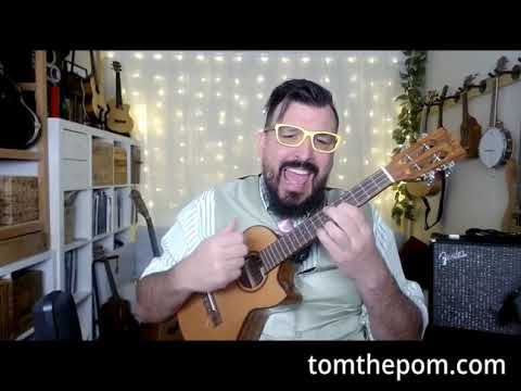 Video Killed The Radio Star - Ukulele Cover