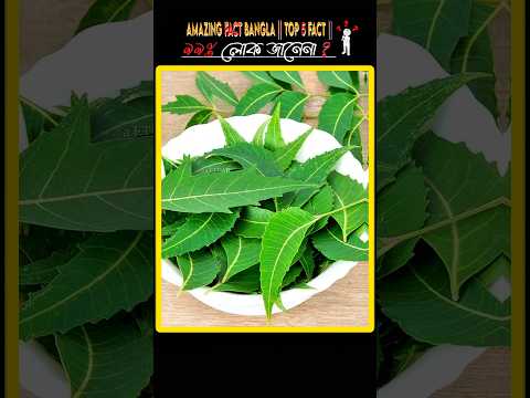 Surprising Facts About Food ????????| Food Facts In Bengali | Health Tips | #bengali #facts #shorts