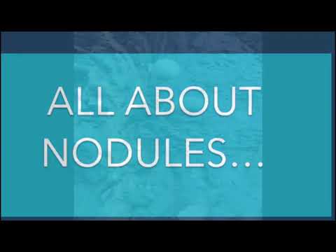 What are FOSSIL Nodules? | Children's fossil competition 2022