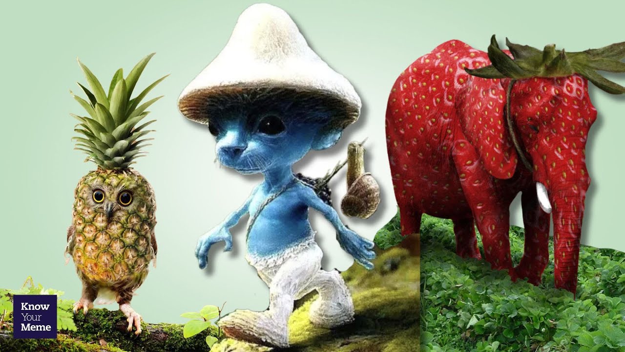 We Live. We Love. We Lie. How A TikTok Meme Universe Unfolded around a Little Blue Smurf Cat