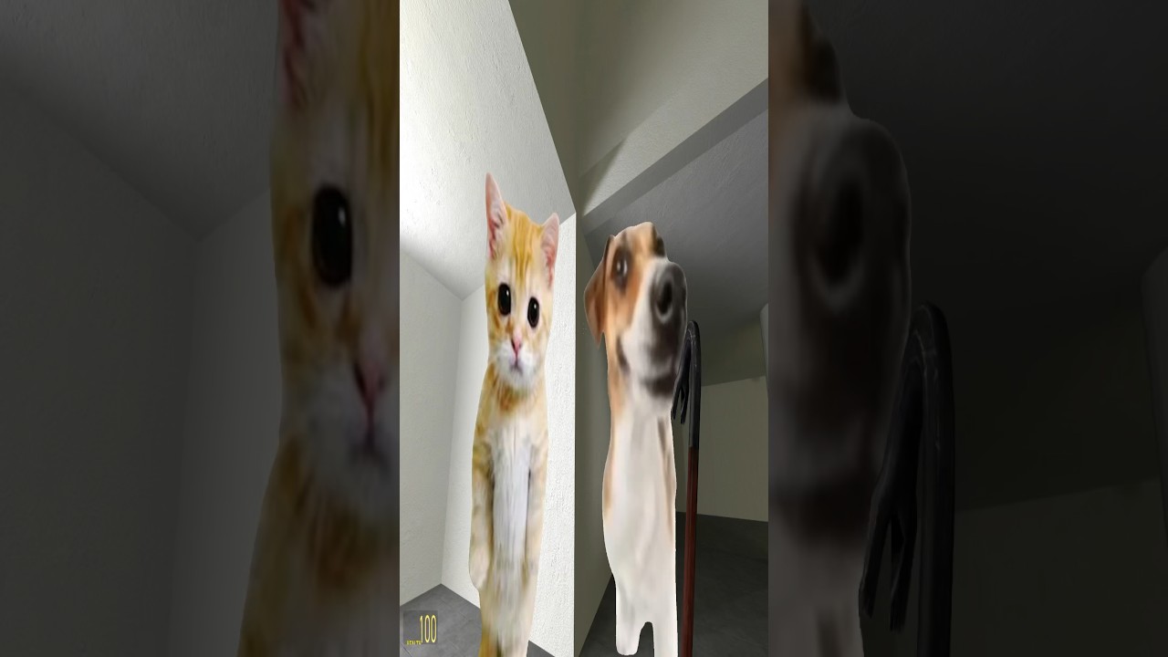 Cat 😺and Wenomechainsama  -  Nextbot  ¡¡¡  (Gmod) #gmod #garrys_mod #garrysmod