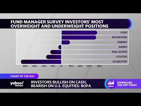 Investors bullish on cash, bearish on equities: Survey