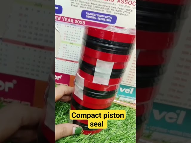 Piston Seal Manufacturer - Compact Piston Seal Manufacturer from New Delhi