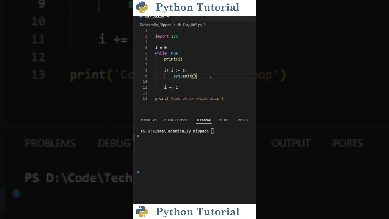 How to Stop a Python Script | Python Tutorial