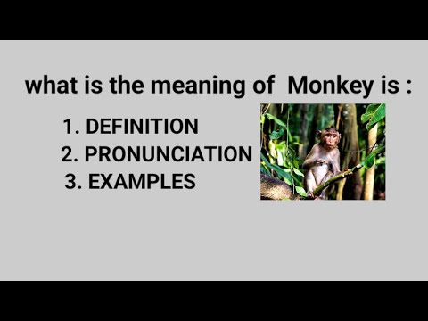 What is the meaning of monkey|| Definition of the monkey || Monkey meaning in English