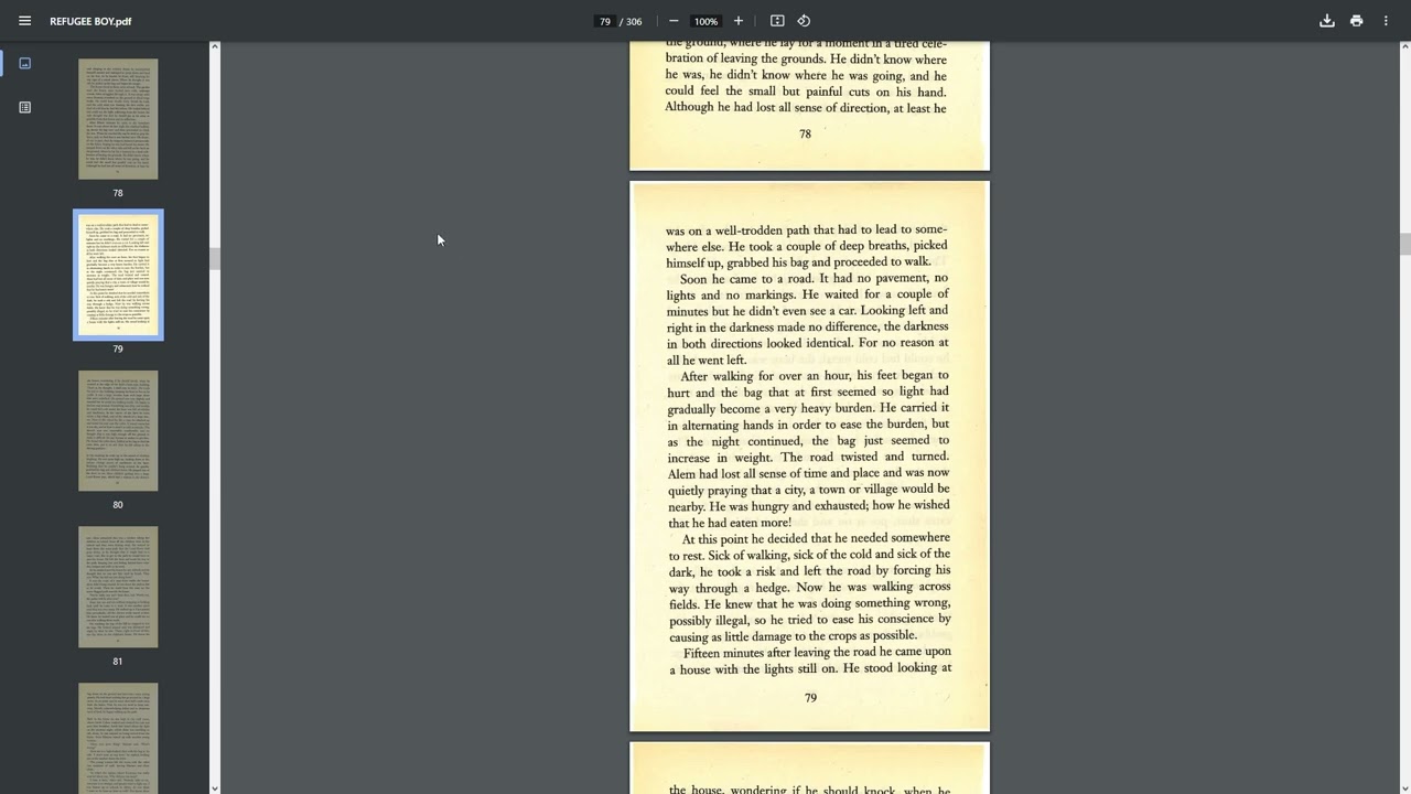 refugee boy chapter 7