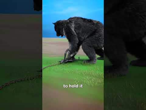 How Bear Traps Work 🤔