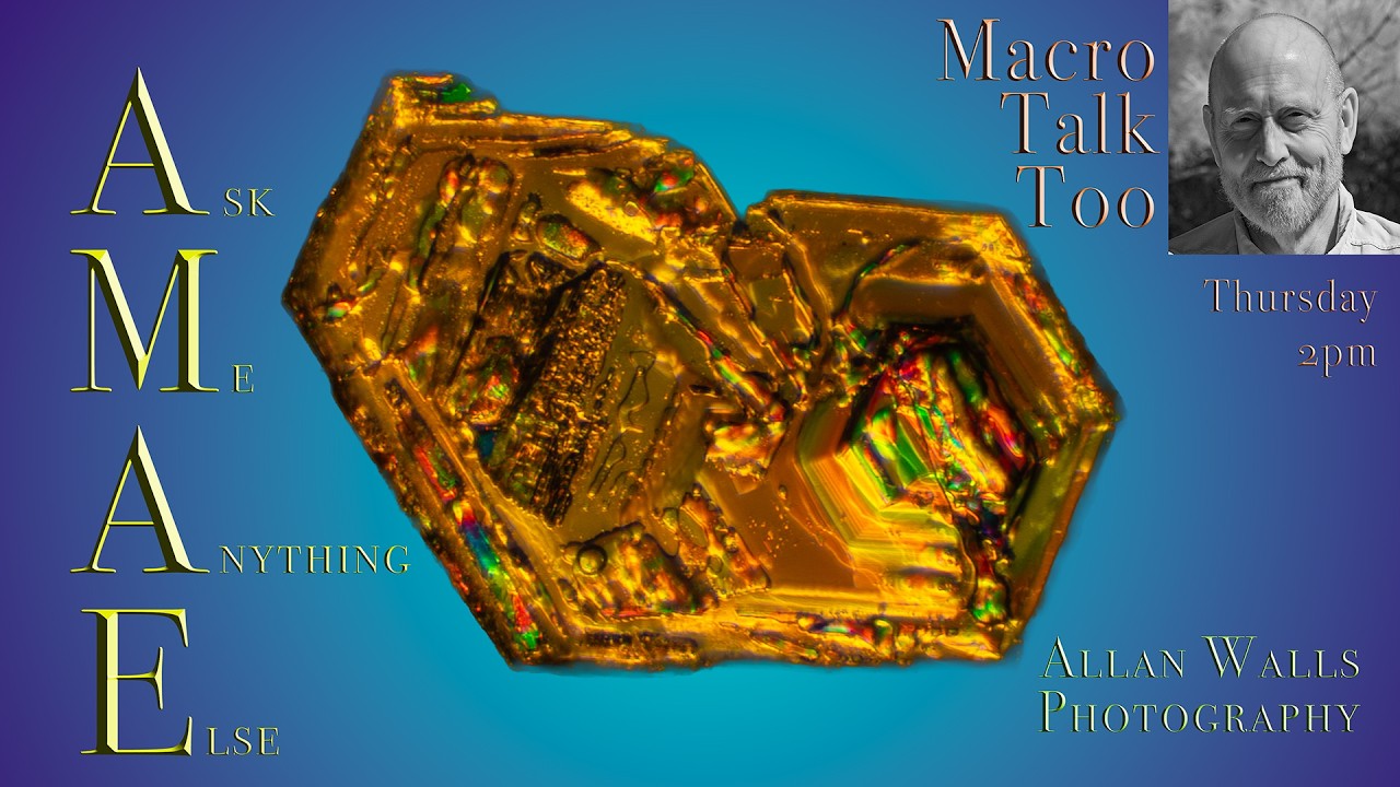 AMAE - Macro Talk Too #192 -  AWPhotography 5/14/26