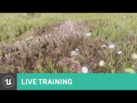 Complex Splat Maps, Mesh/Texture & Placement Technique's - World ...