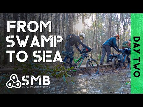 Palmetto Trail - Swamp Fox Passage Mountain Bike Trail, Bonneau Beach ...