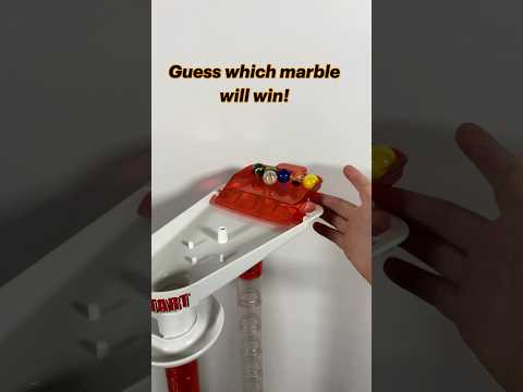 Guess which marble will win the #marblerace | Premier Marble Racing