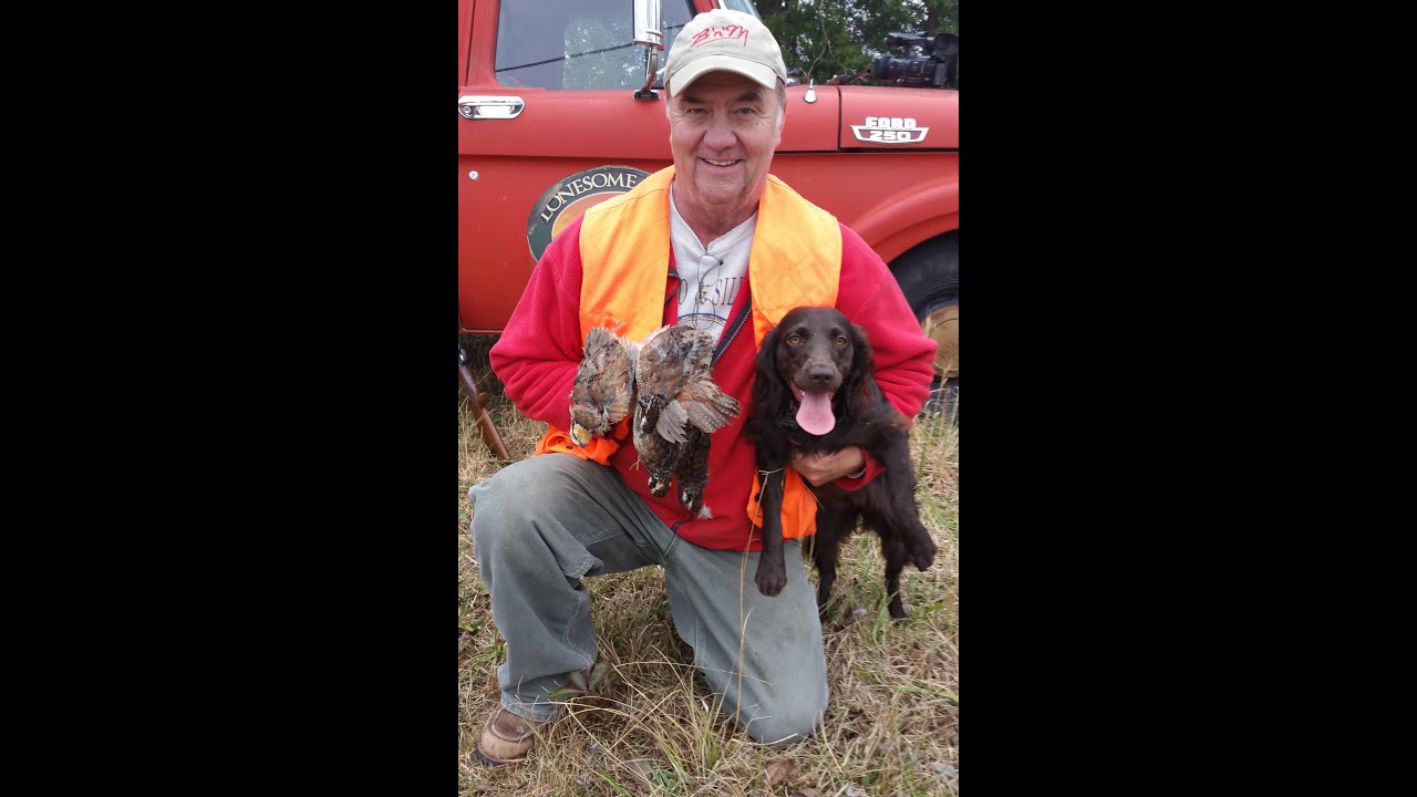 Katy's First Quail Hunt 2015