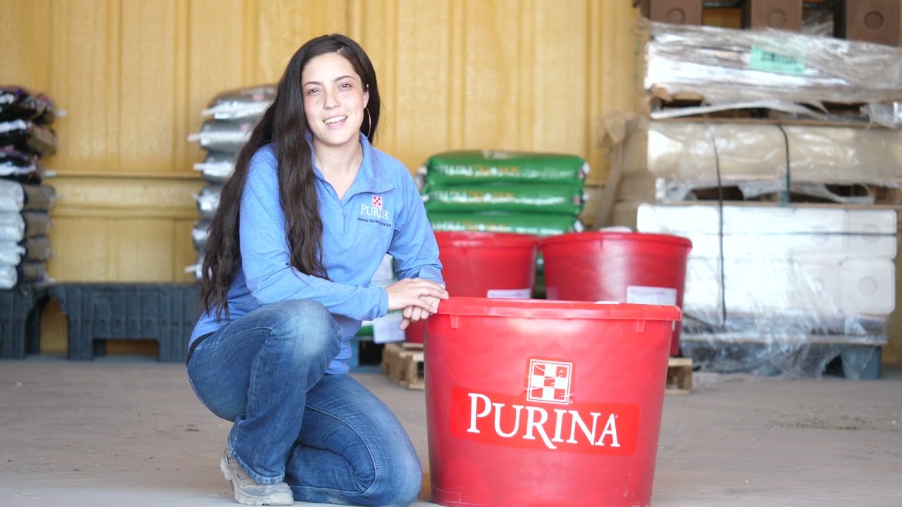 The Feed Store Product Video