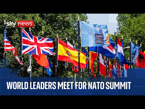 World leaders gather in The Hague for NATO summit