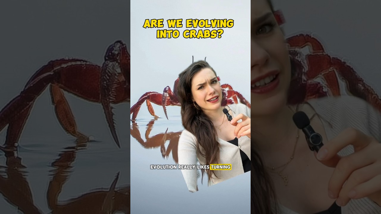 🦀 Are we all destined to turn into crabs?