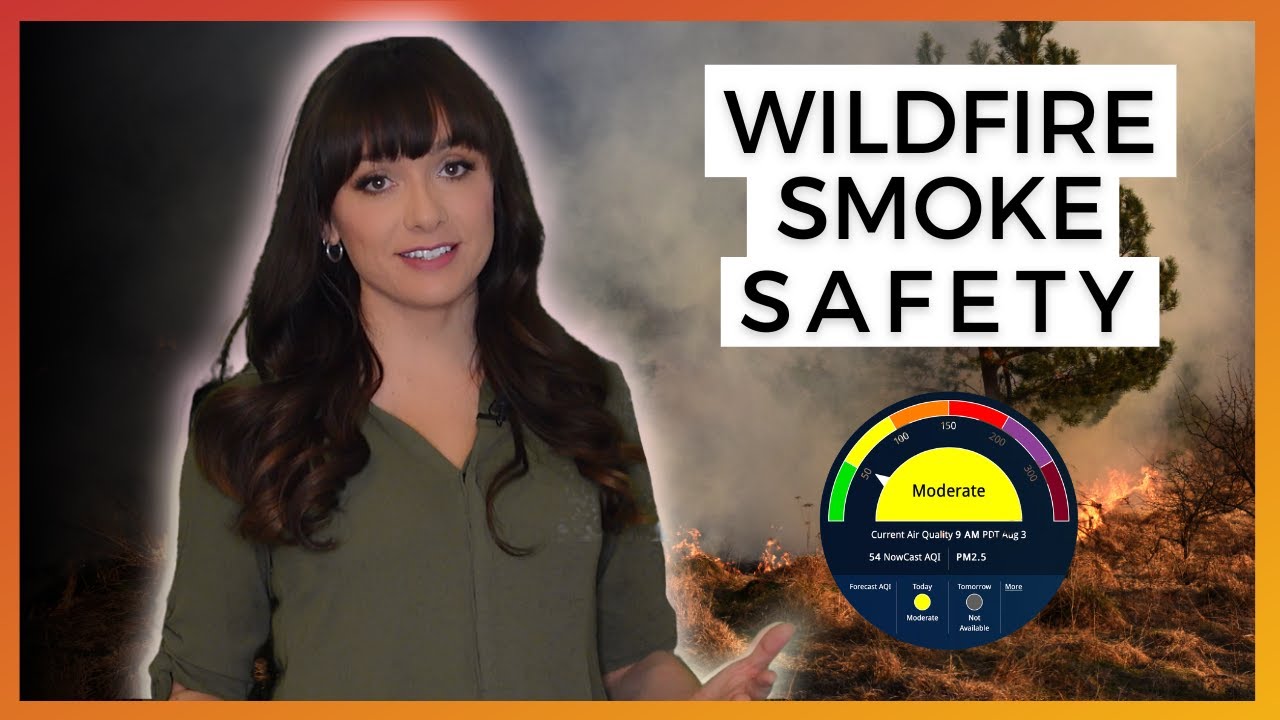 Wildfire Smoke Safety | By Ally Safety