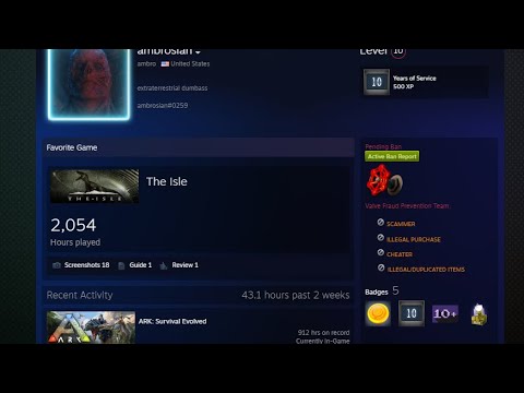 Steam Community :: Video :: Discord Steam False Report Scam