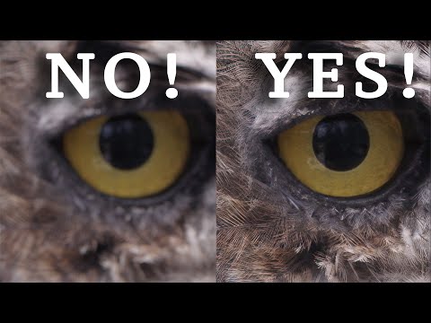 Get SHARPER Images!