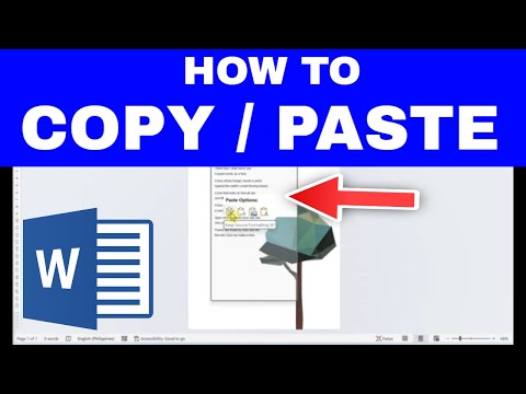 How to COPY & PASTE Text in Word (Paste Options Explained!)