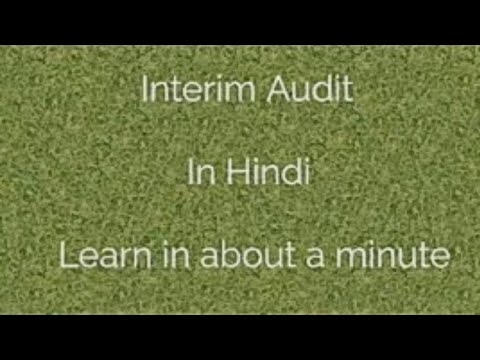 Interim Audit | In Hindi