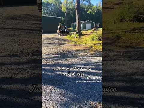 Just Perfect Tree Service ☎️(794)956-8235 #trees #treeremoval #treetrimming