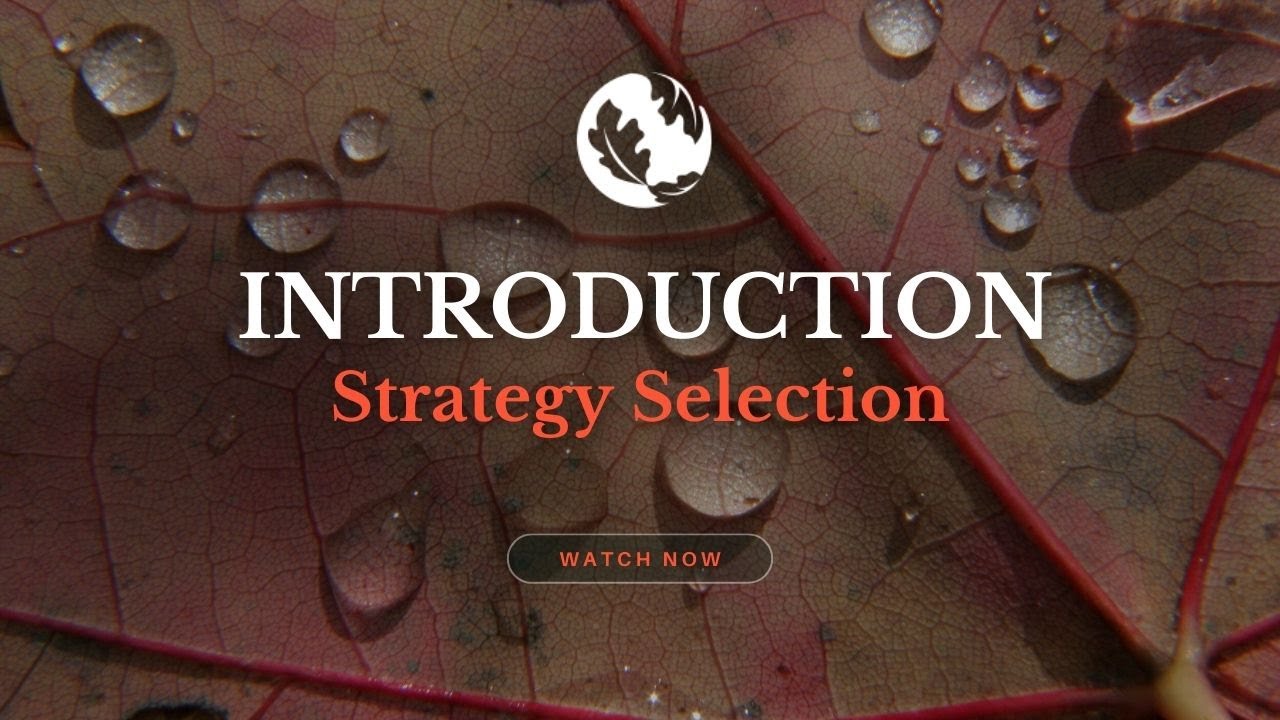 Introduction to the Strategy Selection Module