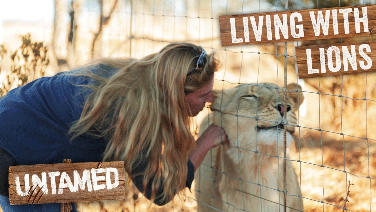 Lions Treat Rescuer As Their Mom | S1 E1 | The Lion Queen