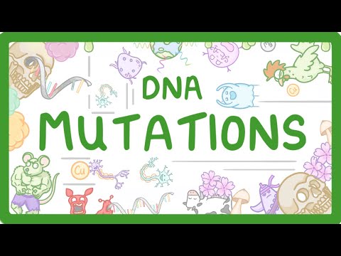 GCSE Biology - What are DNA Mutations?