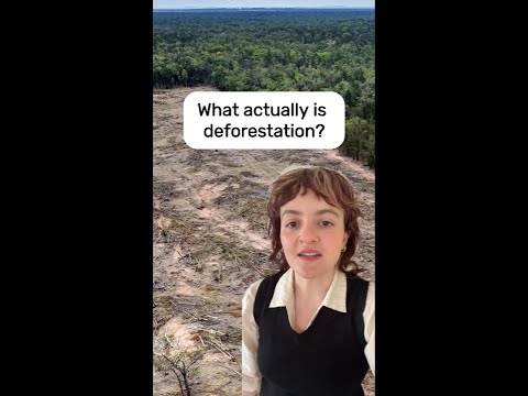 What does deforestation mean?
