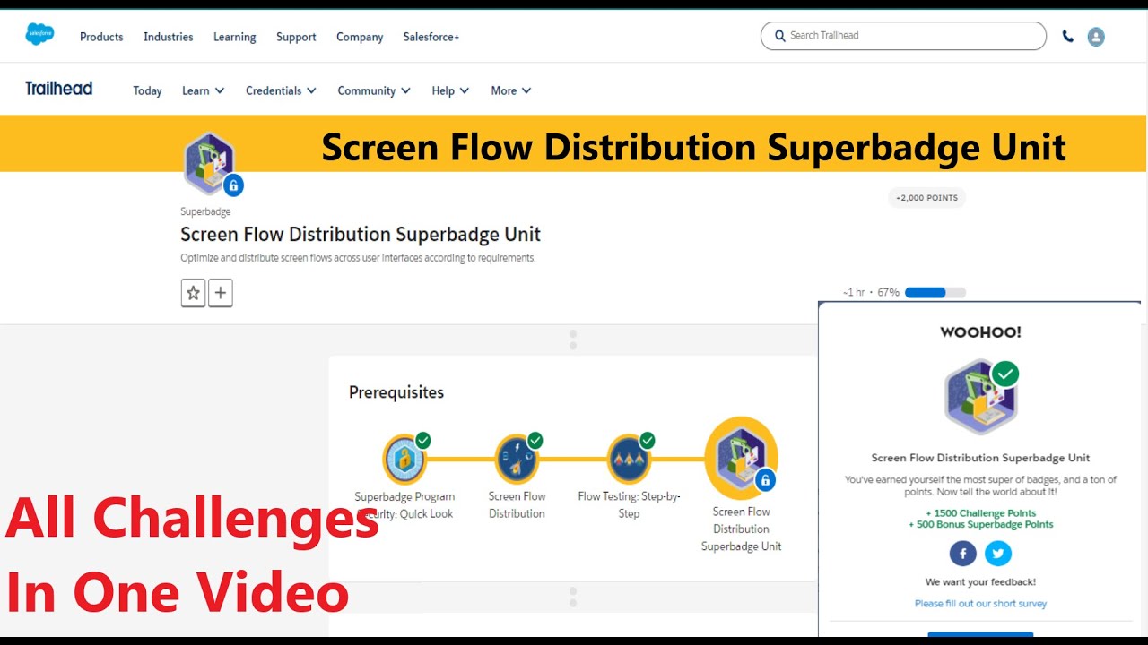 Screen Flow Distribution Superbadge Unit|| Complete Solution