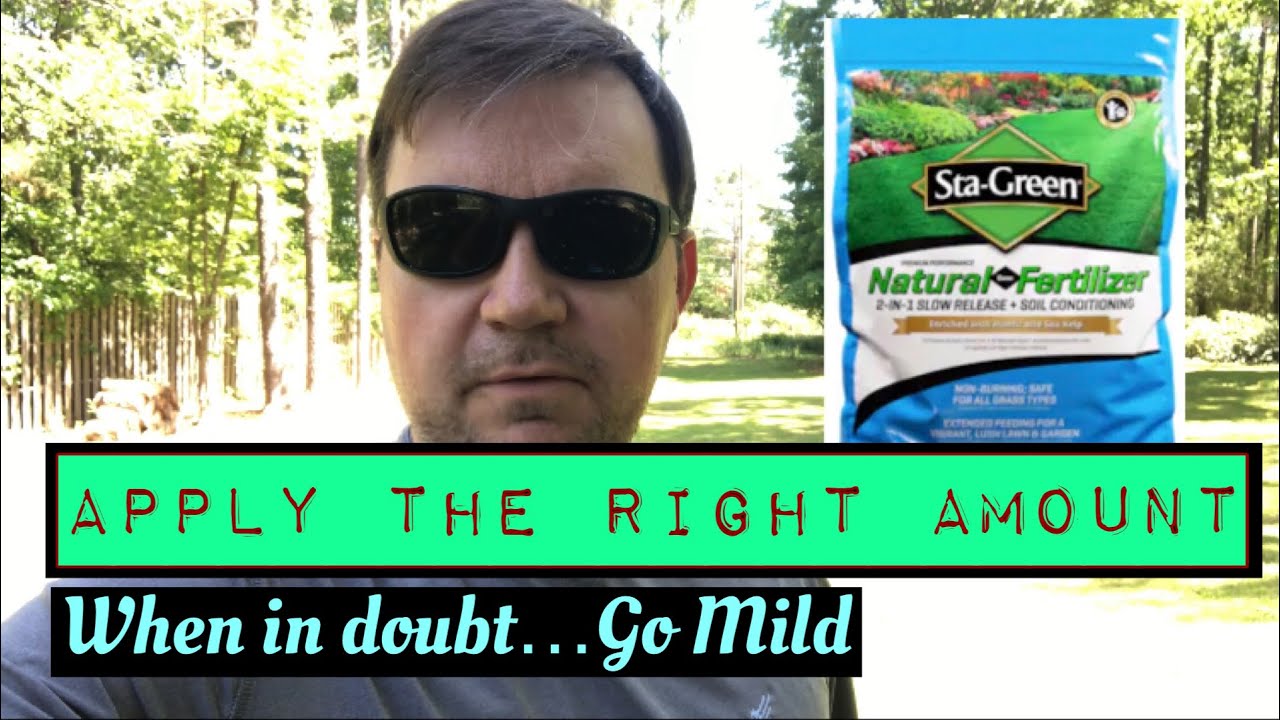Fertilize a Centipede Lawn the Right Way | How to calculate fertilizer #lawncare