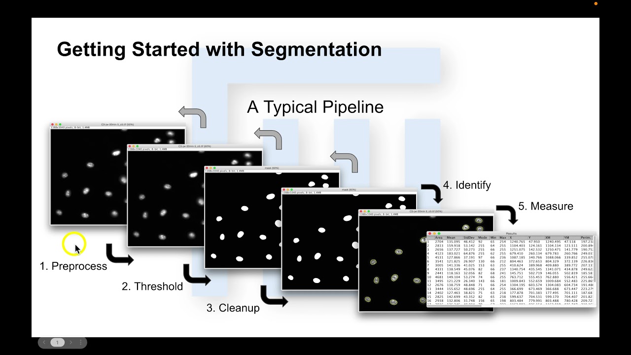 ImageJ/Fiji - Segmentation Part 1: Introduction
