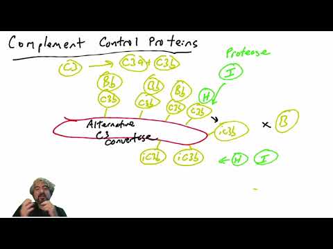 Complement Control Proteins