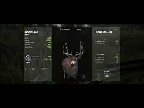 Steam Community :: Video :: theHunter Call of the Wild Double Diamond ...