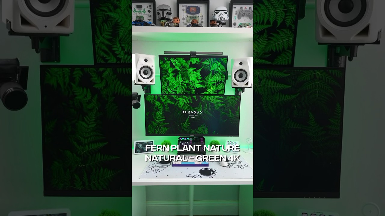 Best of Wallpaper Engine in 2024: Nature Edition