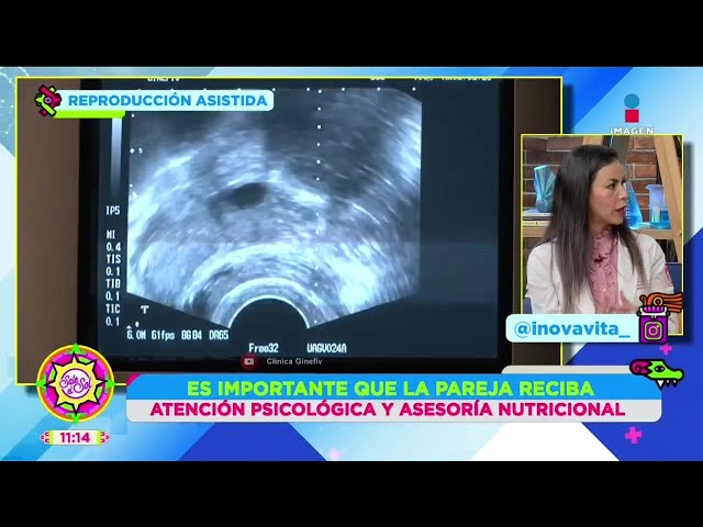 Nacen bebés de un robot inseminador y una PlayStation