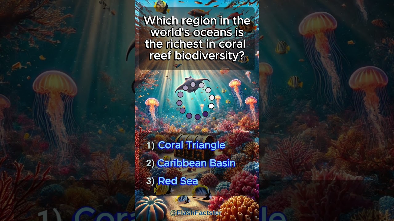 Quiz: 31 5/5 #quiz #quizchallenge #quizgames #funny #generalknowledge