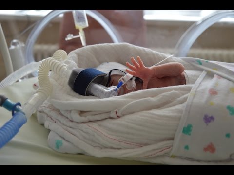 Dad filmed an incredible video!!!