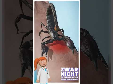🔥 Wie gefährlich ist ein Skorpion stich? 🦂⚠️