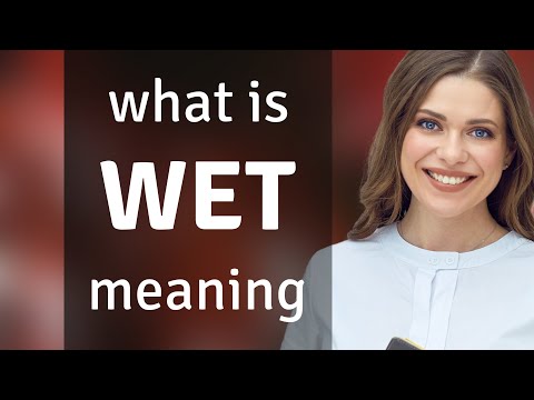 Wet | what is WET meaning