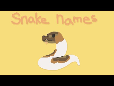 Snake Names
