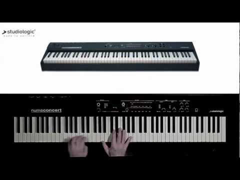 STUDIOLOGIC NUMA CONCERT 88-KEY GRADED HAMMER ACTION STAGE | Reverb